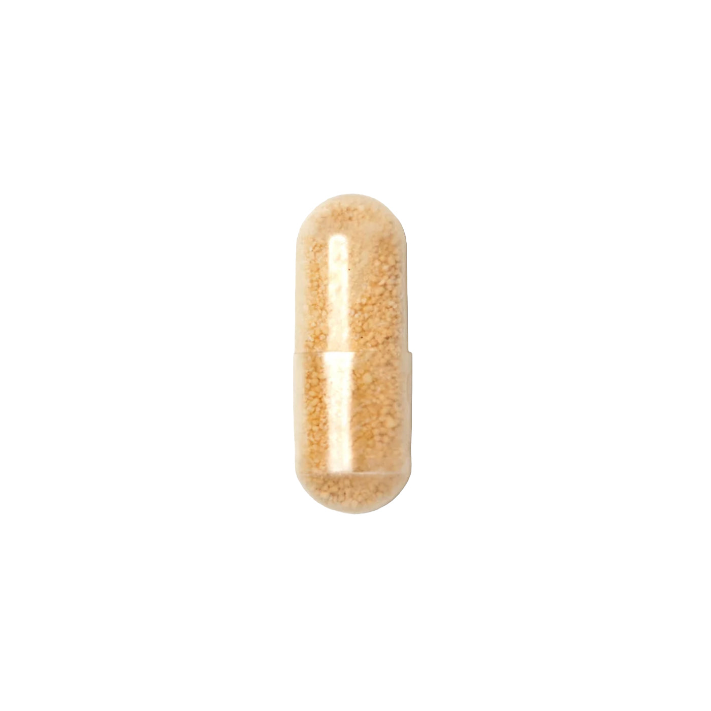 Candex SB Probiotic — Wicked NRG Supplements & Nutrition