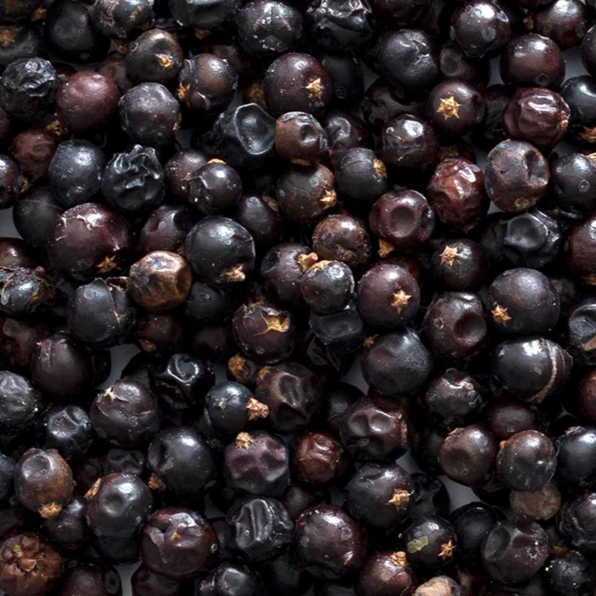 Organic Juniper Berries — Wicked NRG Supplements & Nutrition