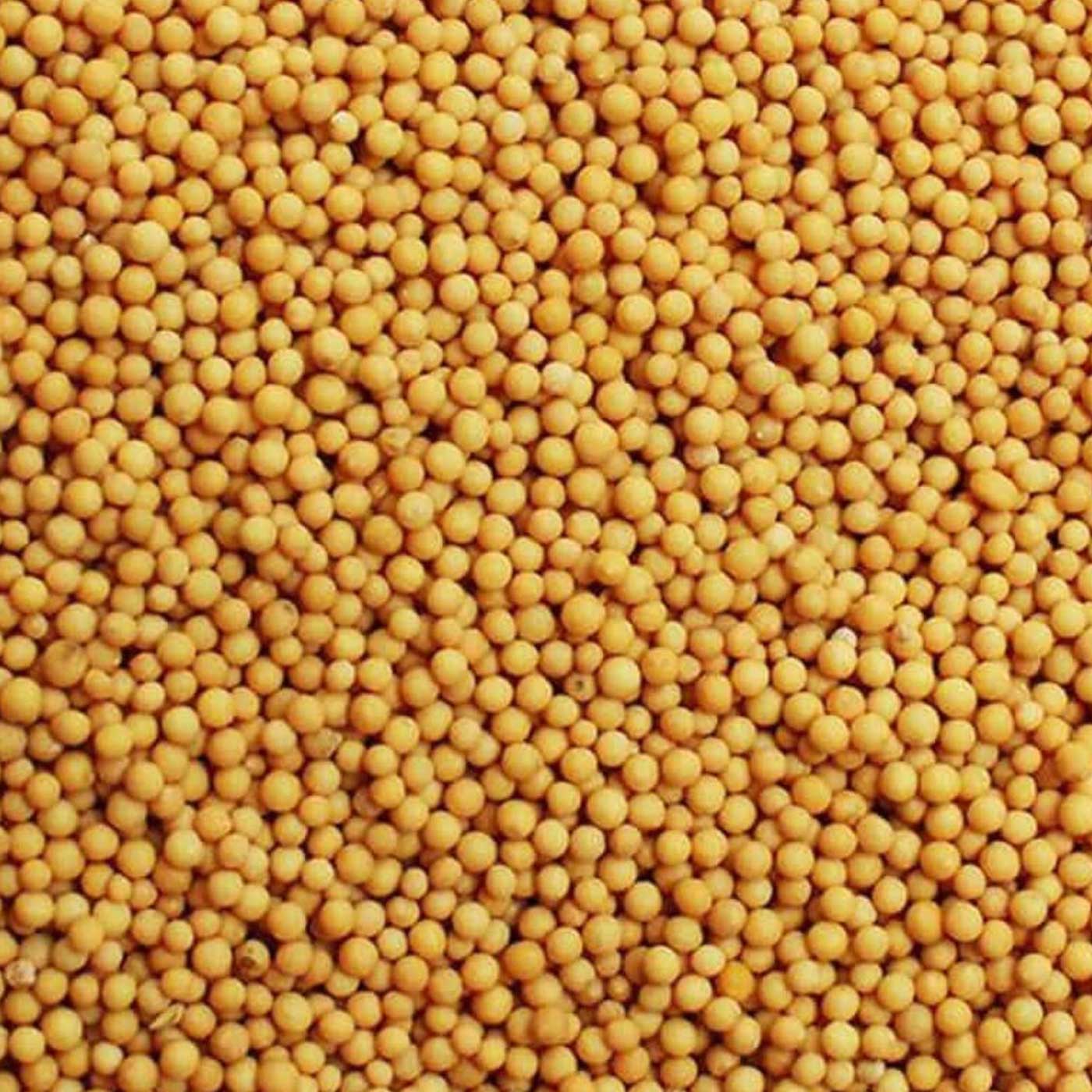 Honest to Goodness Organic Yellow Mustard Seeds — Wicked NRG ...